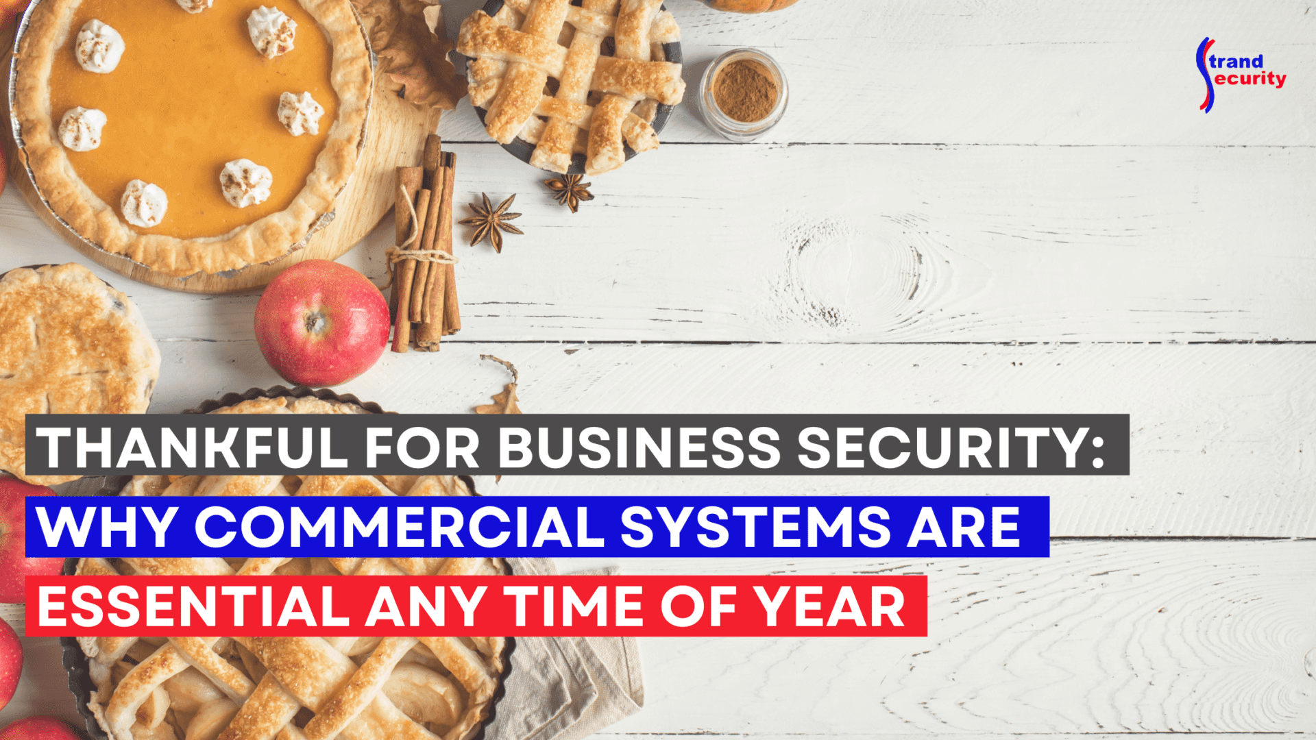 Thankful for Business Security: Why Commercial Security Systems are ...